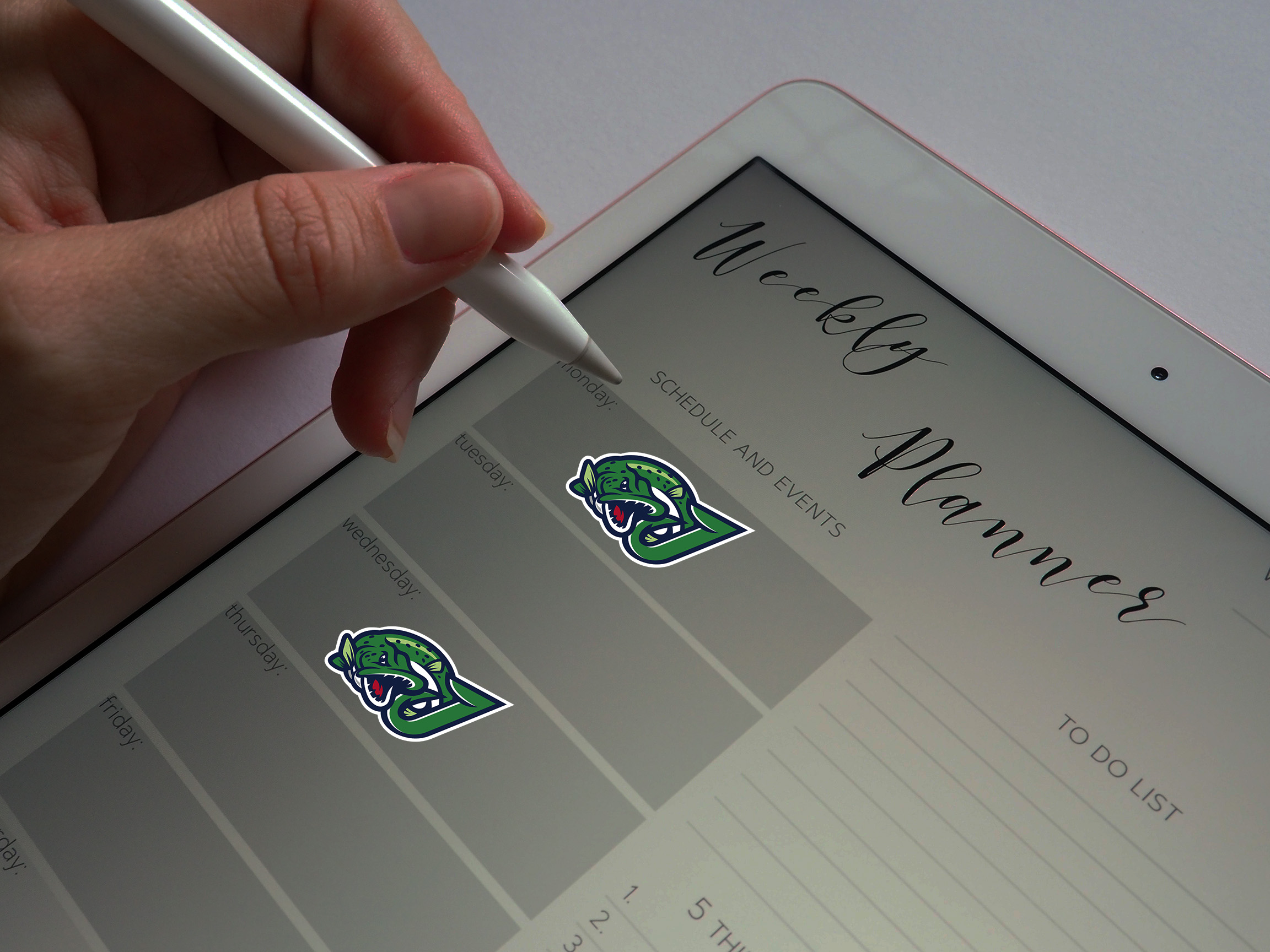 Welland Minor Baseball Association Inc. : Website by RAMP InterActive